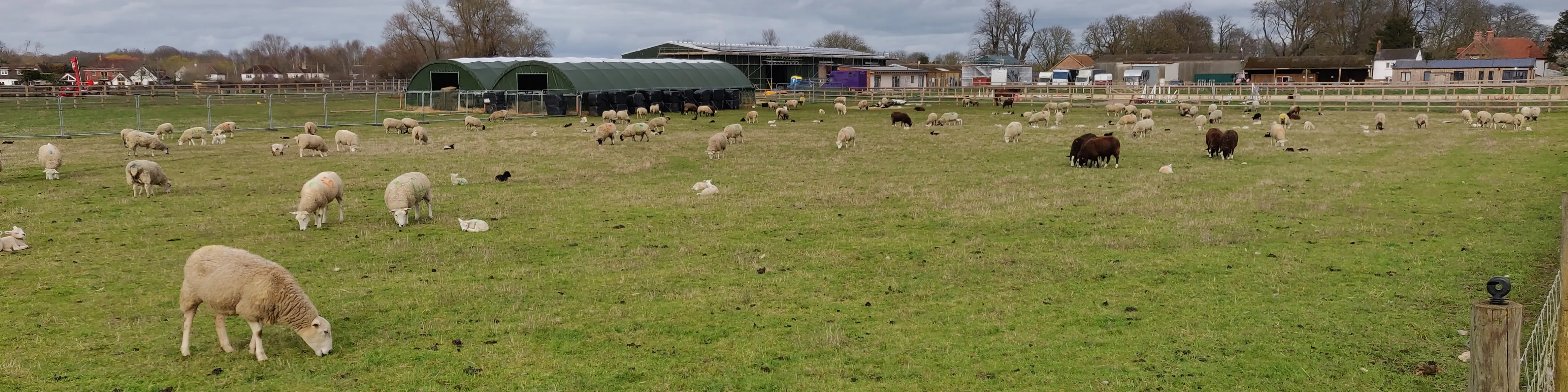 Bishop's Court Farm Education